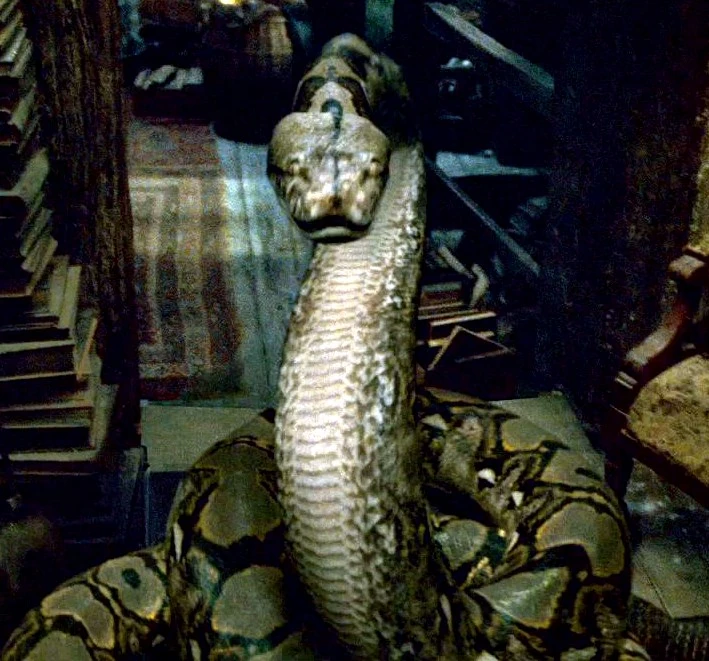 Nagini | Villains Wiki | FANDOM powered by Wikia