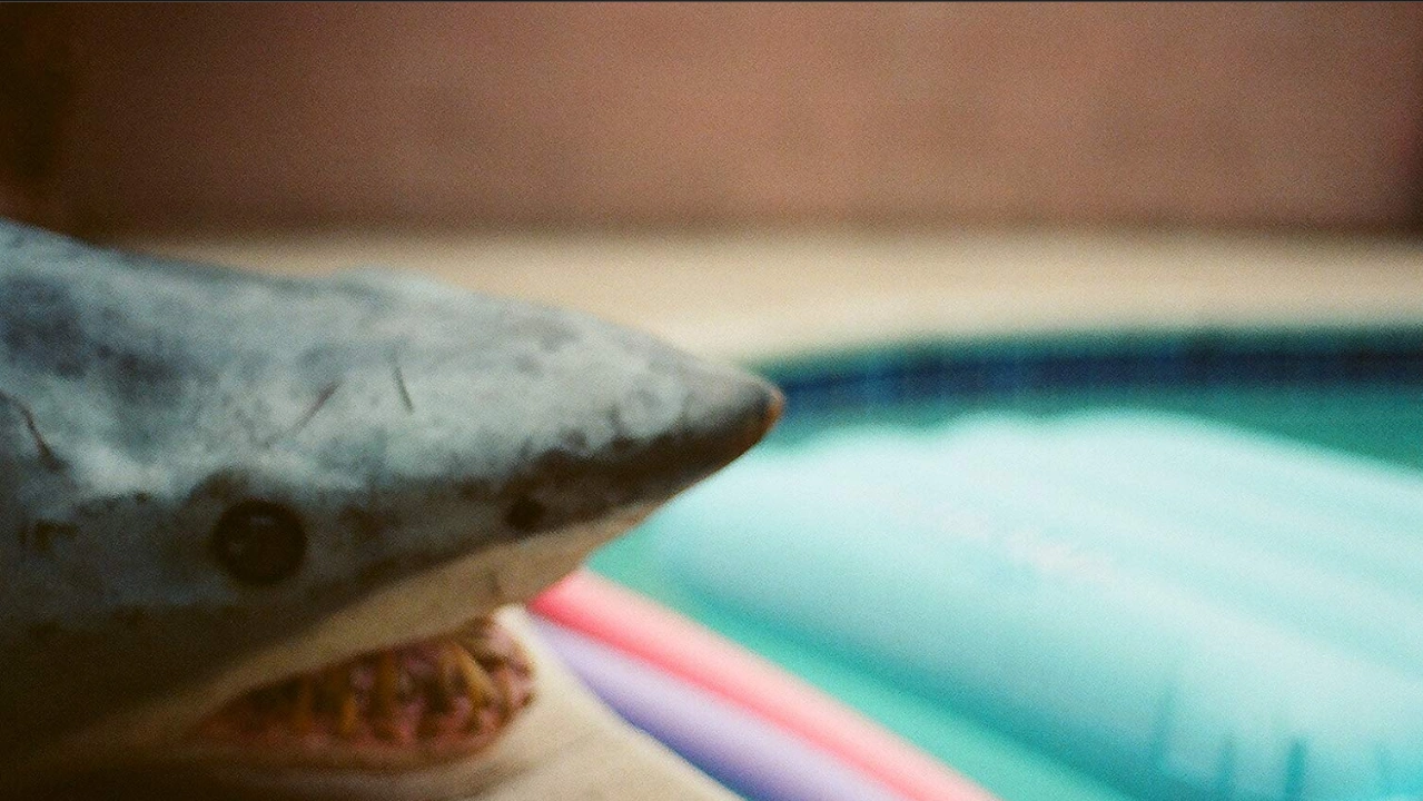 Sticky the Shark | Villains Wiki | Fandom