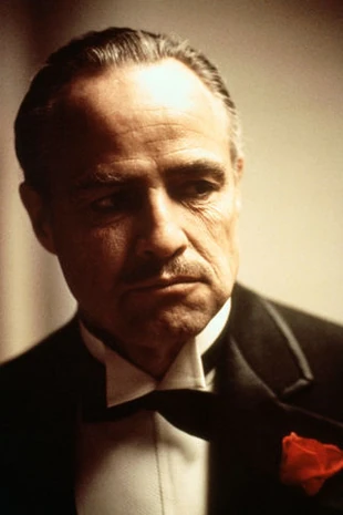 Vito Corleone | Villains Wiki | Fandom