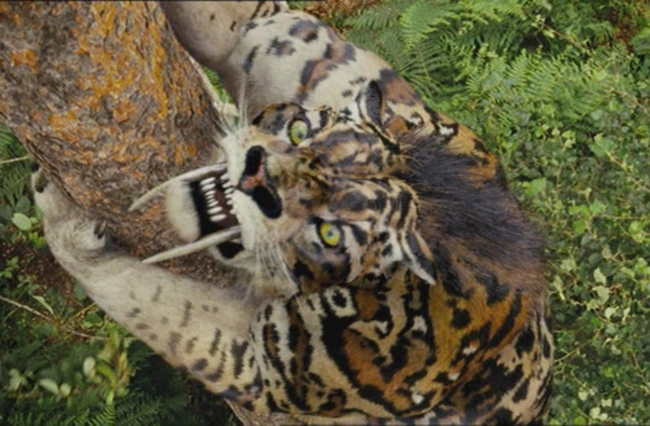 Smilodon (Primeval) | Villains Wiki | FANDOM powered by Wikia