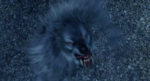 Grey Werewolf | Villains Wiki | Fandom