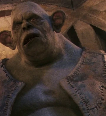 Troll (Harry Potter) | Villains Wiki | Fandom