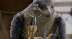 Falcon (Stuart Little)/Gallery | Villains Wiki | Fandom