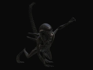 Xenomorphs/Gallery | Villains Wiki | Fandom