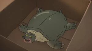 Evil Turtle | Villains Wiki | Fandom