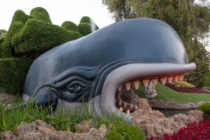 Monstro (Disney)/Gallery | Villains Wiki | Fandom