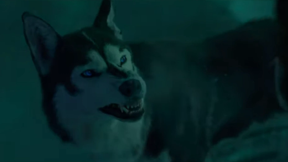 Spitz (2020) | Villains Wiki | Fandom