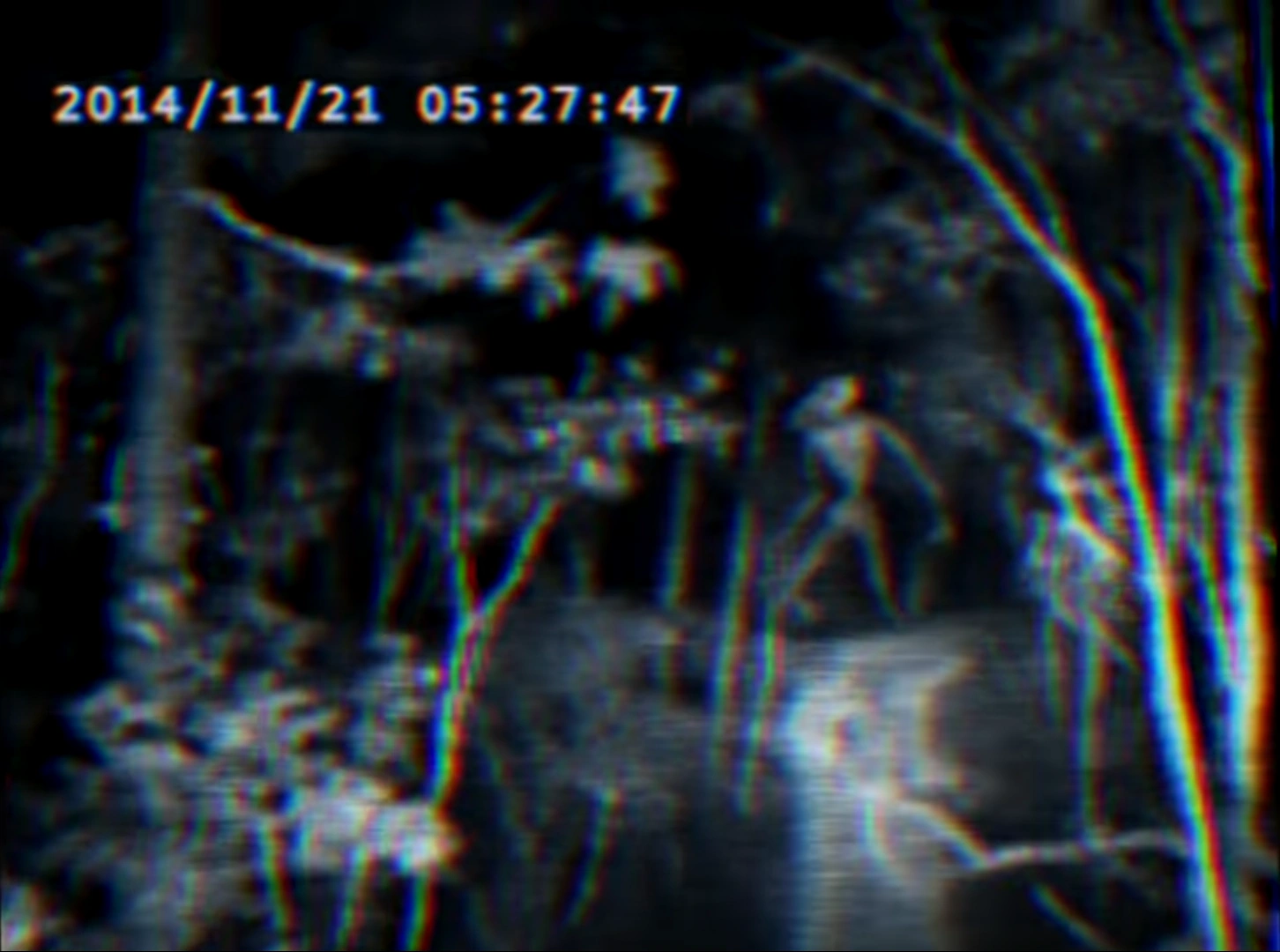 Creatures (Local 58) | Villains Wiki | Fandom