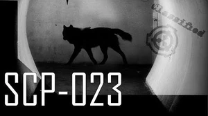 SCP-023 | Villains Wiki | Fandom
