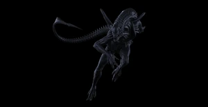 Xenomorphs/Gallery | Villains Wiki | Fandom