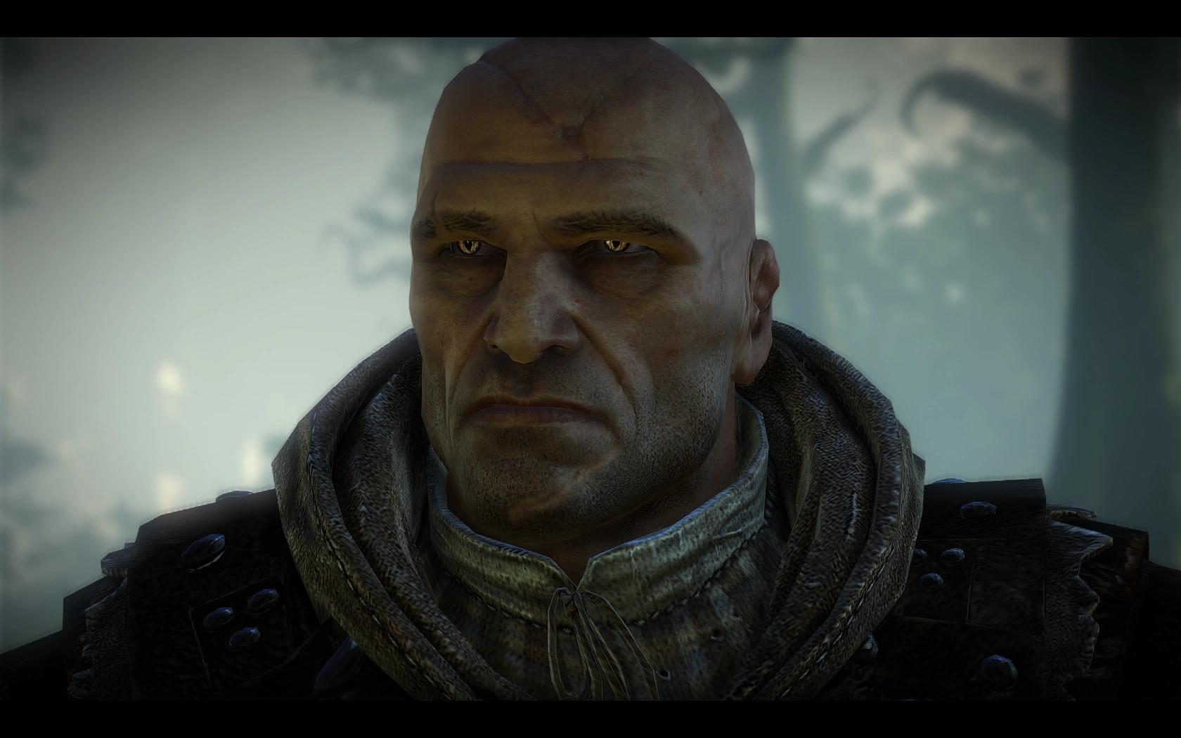 Image - Witcher2-kingslayer-001.png | Villains Wiki | FANDOM powered by ...