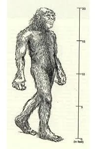 Fear Liath | Villains Wiki | Fandom