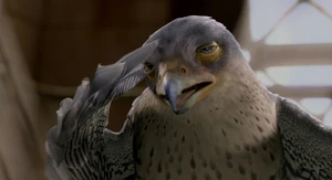 Falcon (Stuart Little)/Gallery | Villains Wiki | Fandom