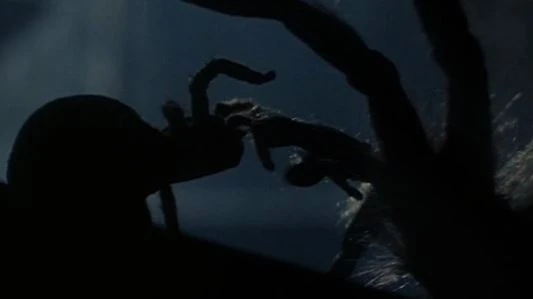 Queen Spider (Arachnophobia) | Villains Wiki | Fandom