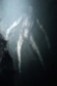 Blair Witch | Villains Wiki | FANDOM powered by Wikia