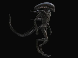 Xenomorphs/Gallery | Villains Wiki | Fandom