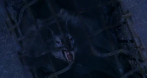 Grey Werewolf | Villains Wiki | Fandom