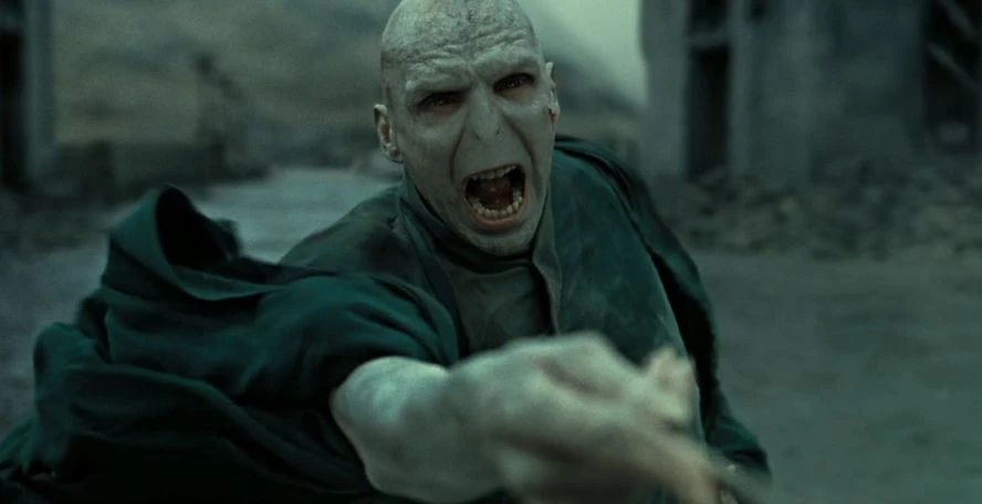 Lord Voldemort | Disney Versus Non-Disney Villains Wiki | FANDOM ...