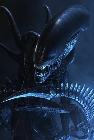 Xenomorfo | Wiki Villanos del Cine de Terror | Fandom