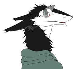 Coju | Vilous Fandom Wikia | FANDOM powered by Wikia