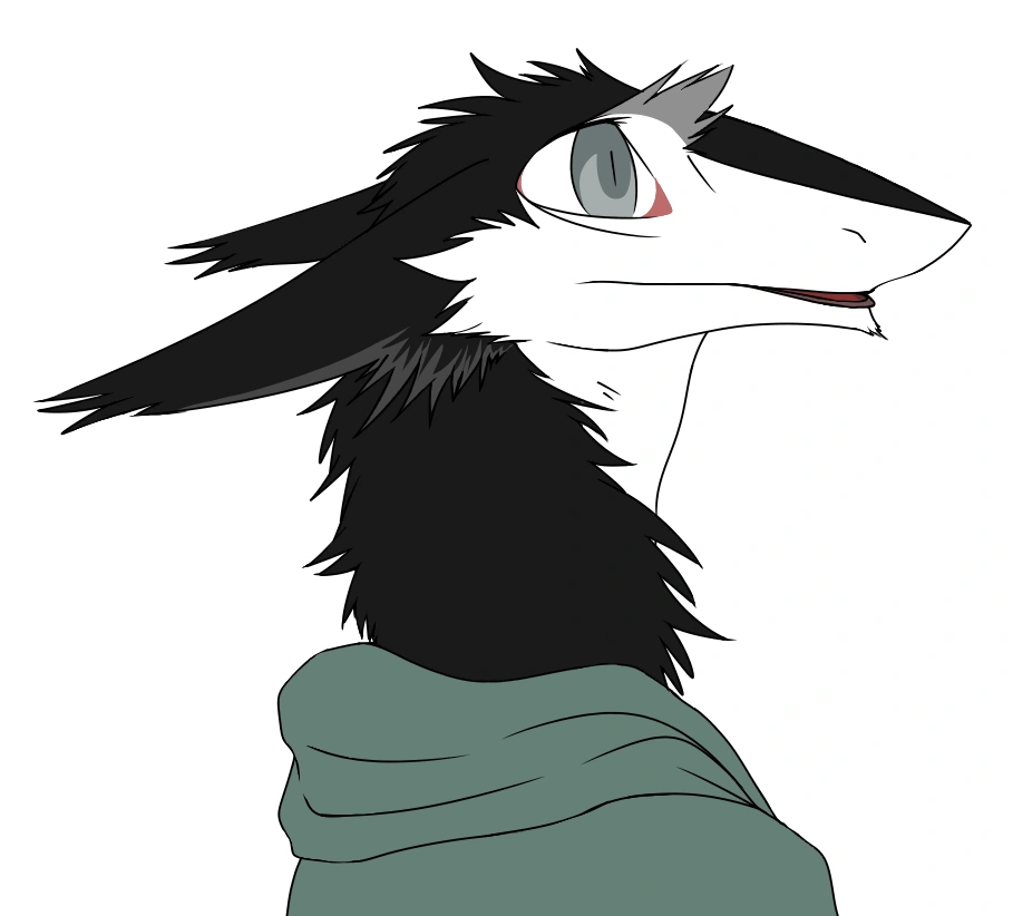 Coju | Vilous Fandom Wikia | FANDOM powered by Wikia