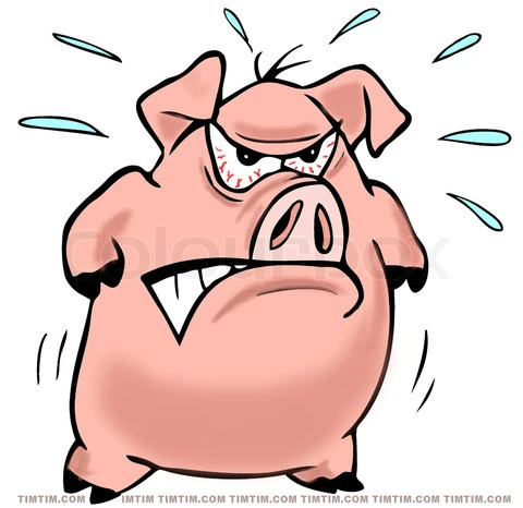 Mean Pig Face Cartoon