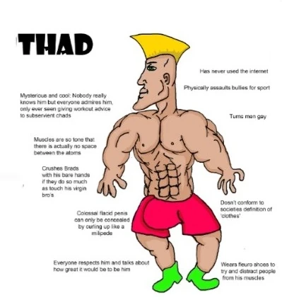 Thad | Virgin vs Chad Wiki | Fandom