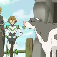 Kaltenecker the Cow | Voltron Wiki | Fandom