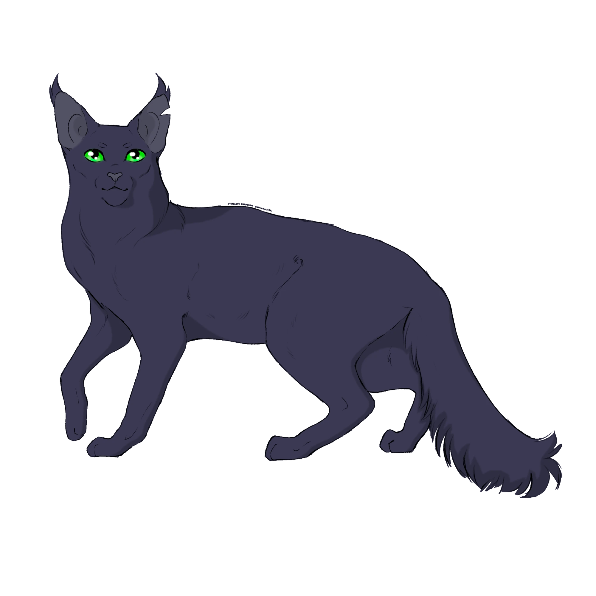 Catégorie:Personnage | Wiki Vos histoires de LGDC | Fandom