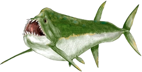 Xiphactinus | VS Battles Wiki | Fandom