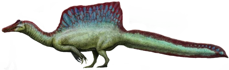 Spinosaurus (Real World) | VS Battles Wiki | Fandom