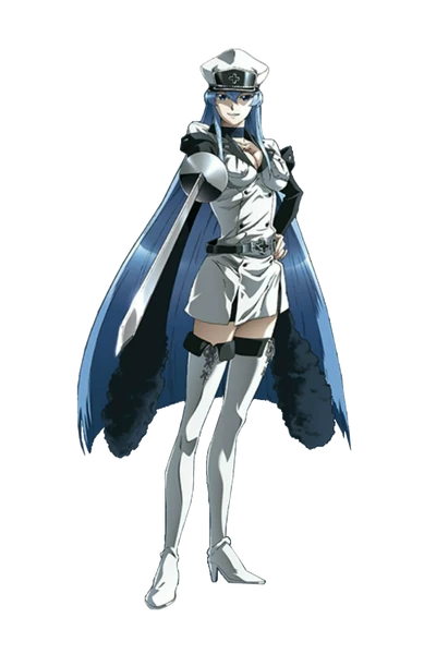 Fire vs Ice (Natsu vs Esdeath... Again) | VS Battles Wiki Forum