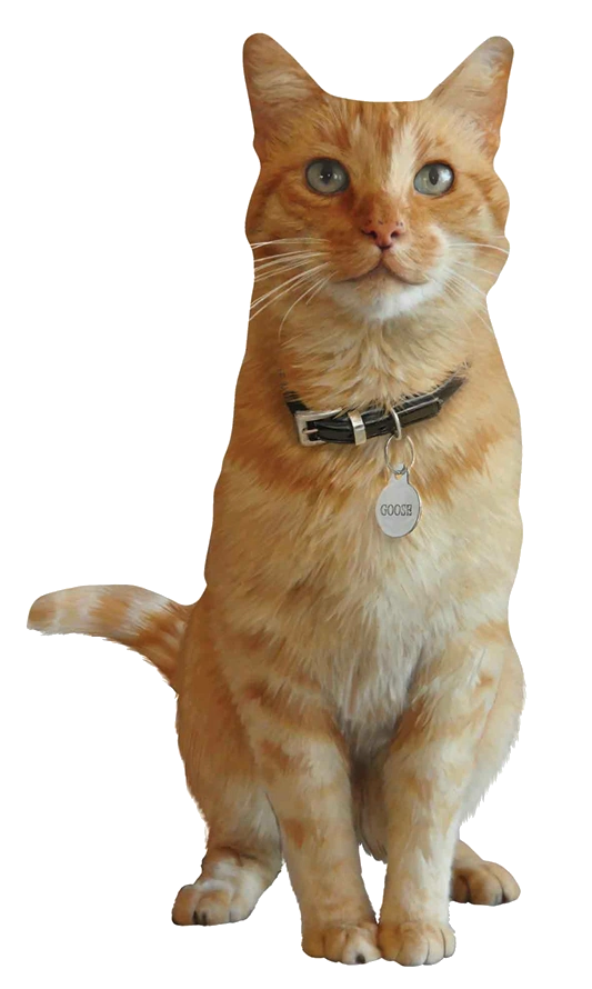 Goose (Marvel Cinematic Universe) | VS Battles Wiki | Fandom