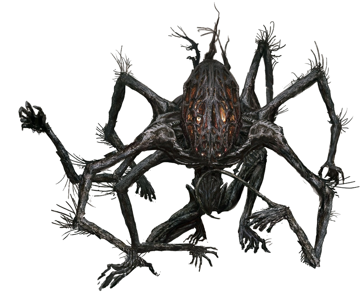 Amygdala | VS Battles Wiki | Fandom