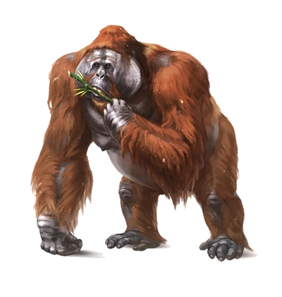 Gigantopithecus | VS Battles Wiki | Fandom