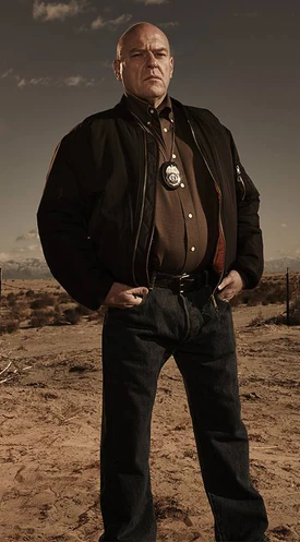 Hank Schrader | VS Battles Wiki | Fandom