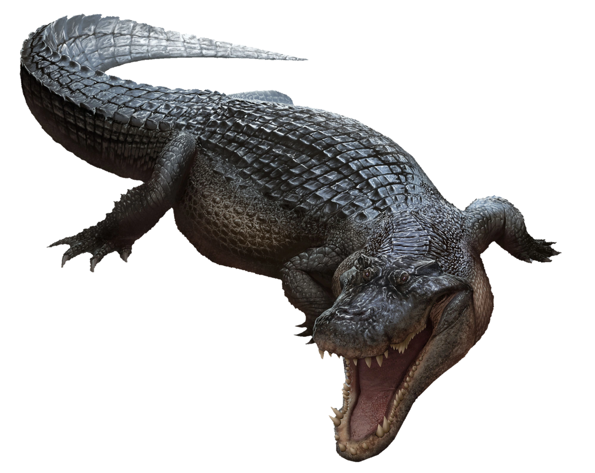 Deinosuchus Vs Supergator