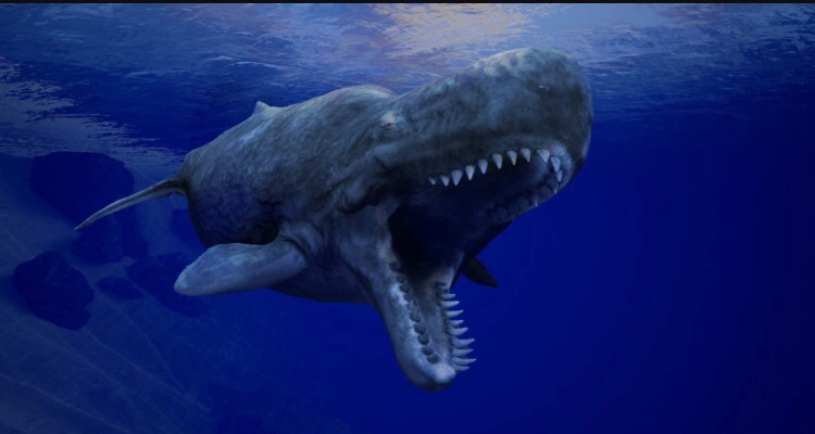 Livyatan (Real World) | VS Battles Wiki | FANDOM powered by Wikia