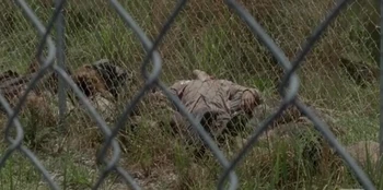 Nick (TV Series) | Walking Dead Wiki | Fandom