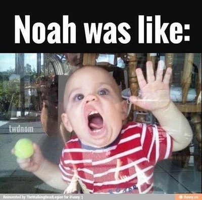 Does anyone else hate Noah as much as I do? | Fandom