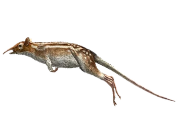 Leptictidium | Walking With Wikis | Fandom