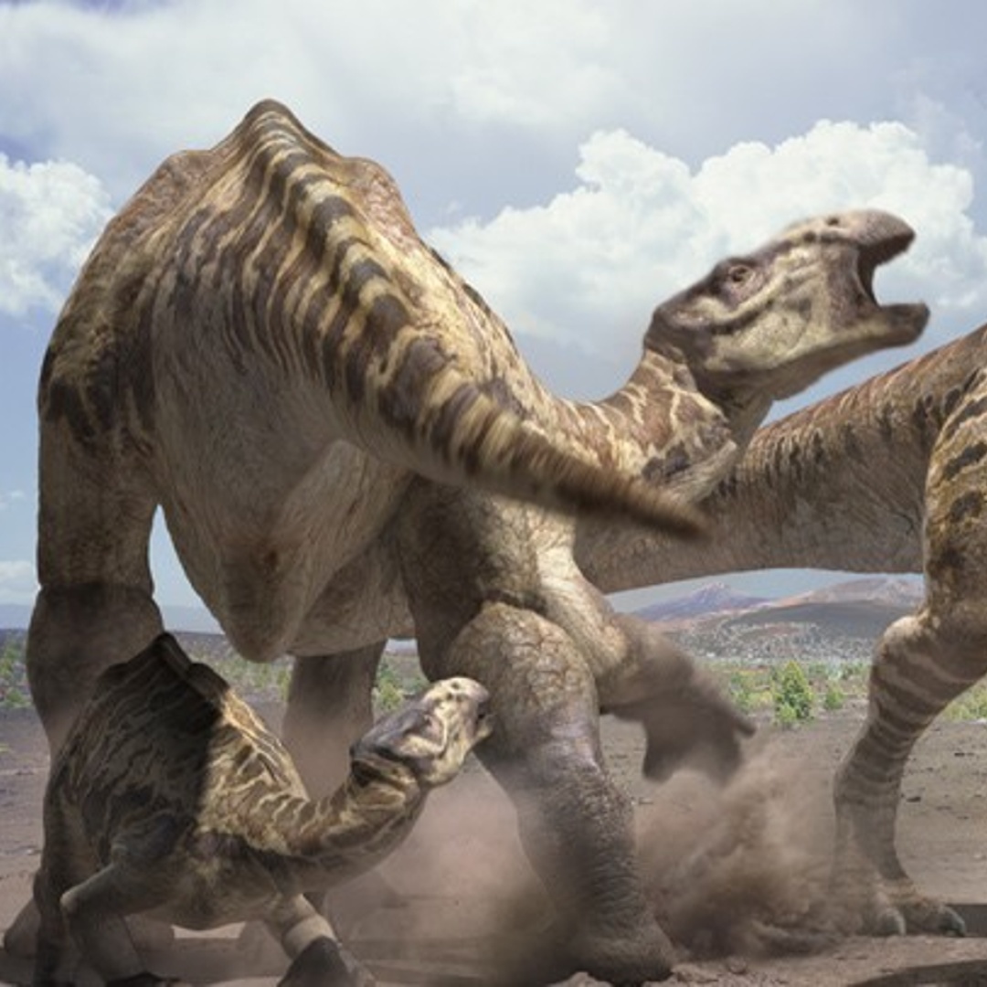 Iguanodonts Walking With Wikis Fandom Powered By Wikia