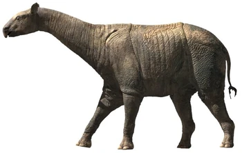 Indricotherium | Walking With Wikis | Fandom