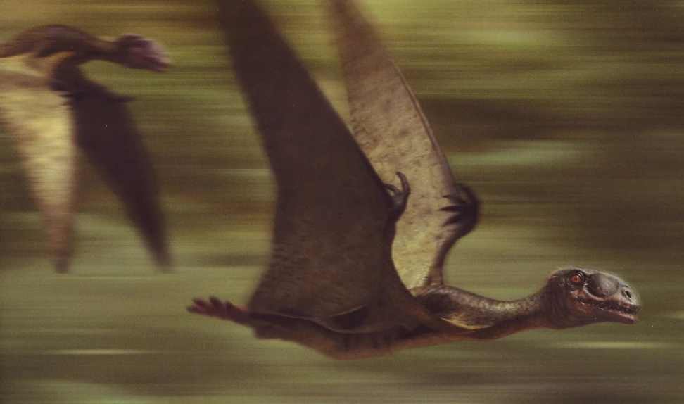 Anurognathus | Walking With Wikis | Fandom