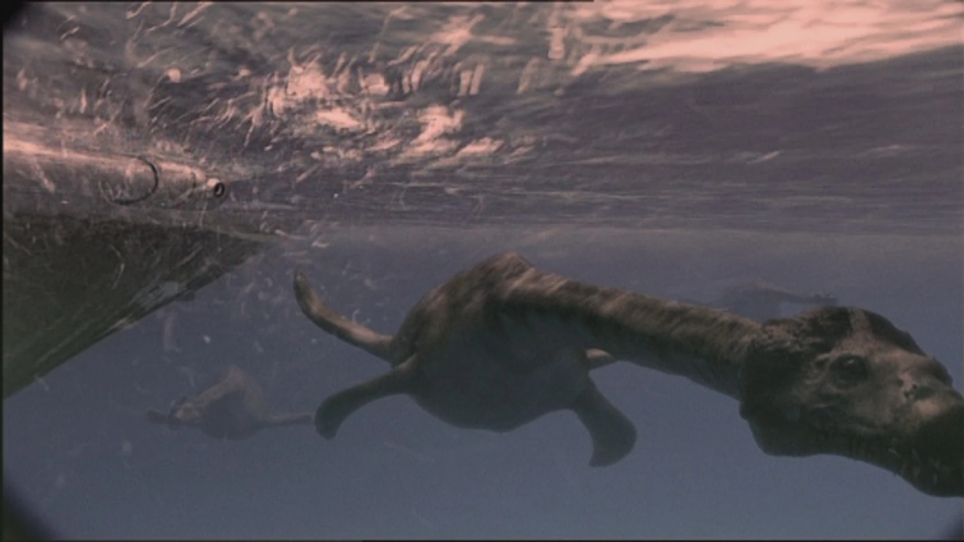 Elasmosaurus | Walking With Wikis | FANDOM powered by Wikia