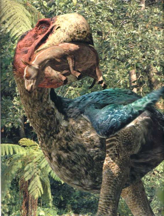 Gastornis | Walking With Wikis | Fandom