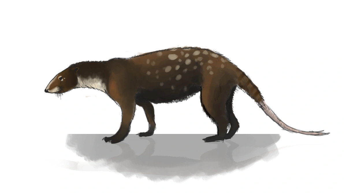 Didelphodon | Walking With Wikis | Fandom