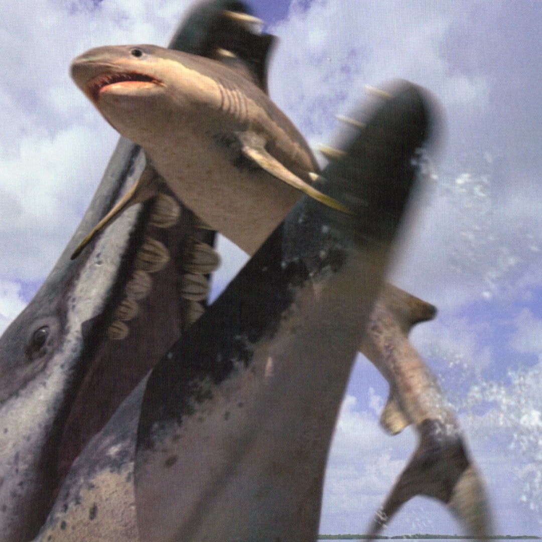 Physogaleus Walking With Wikis Fandom Powered By Wikia