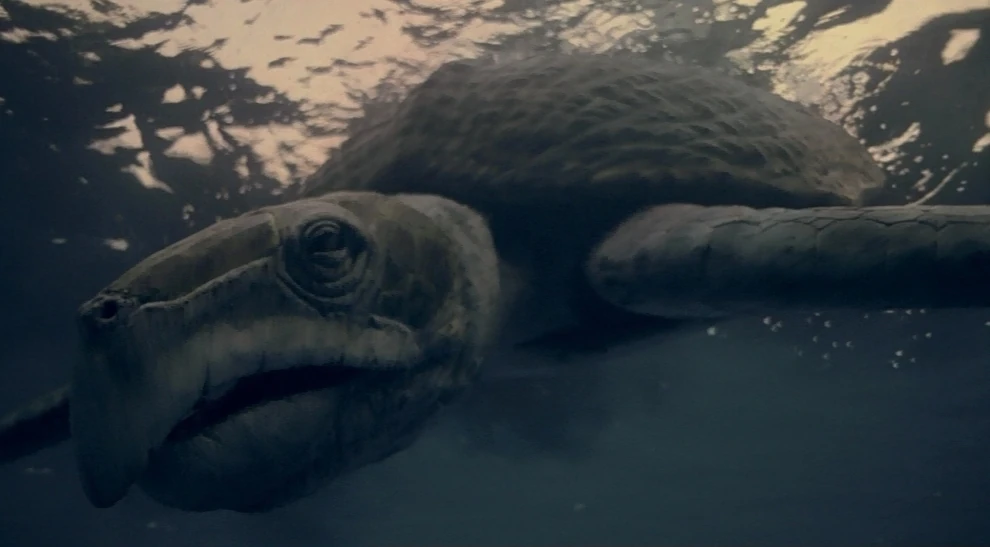 Archelon | Walking With Wikis | Fandom