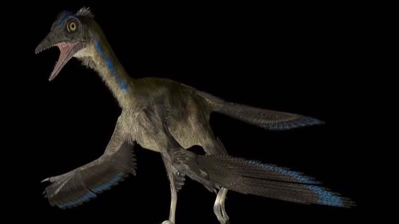 Archaeopteryx Walking With Wikis Fandom Powered By Wikia
